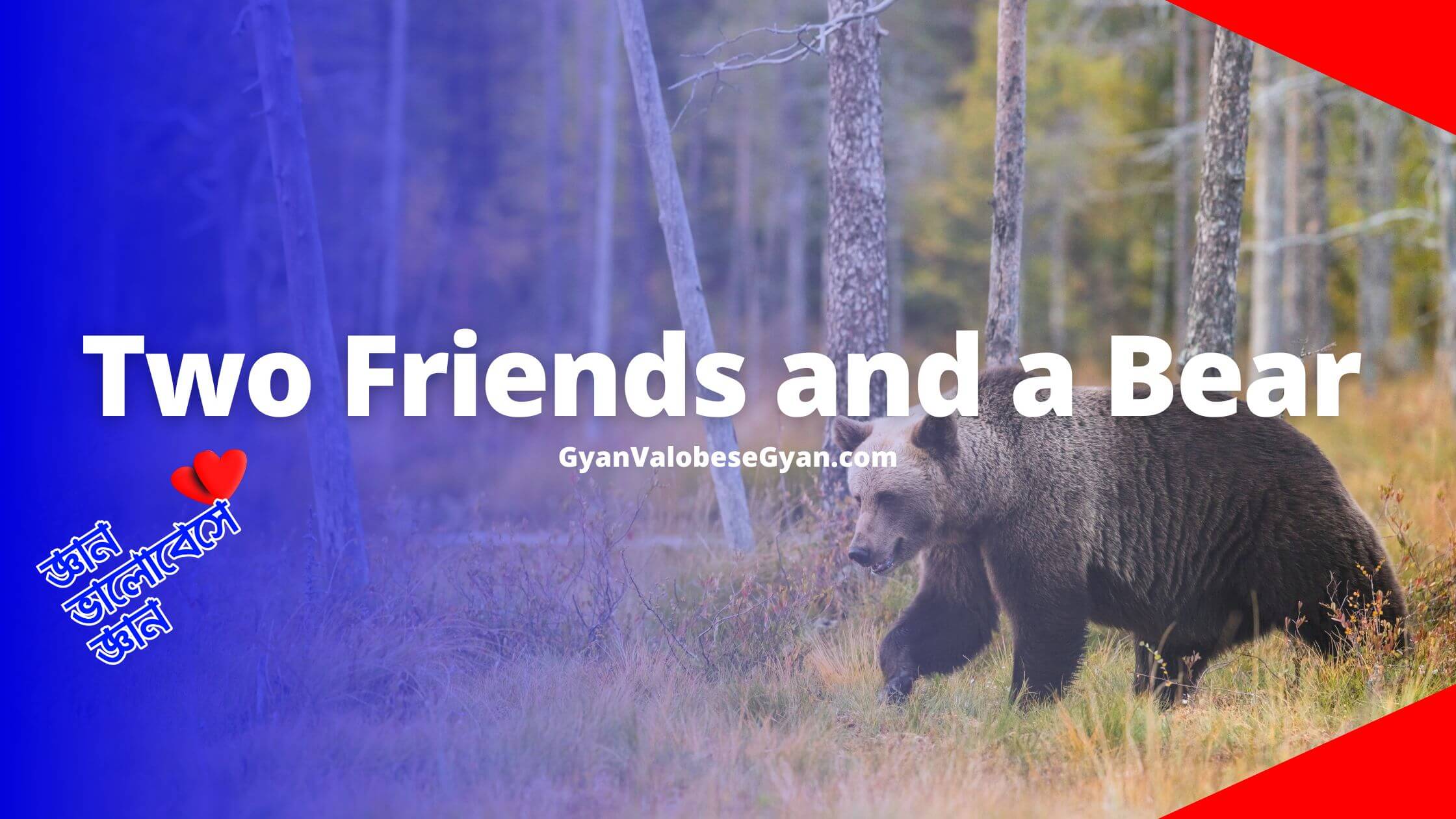 Two Friends And A Bear Write A Story In About Eighty Words Using The two-friends-and-a-bear-write-a-story-in-about-eighty-words-using-the