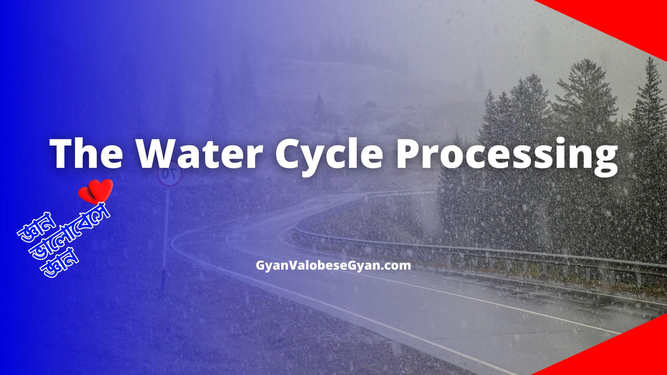 The Water Cycle Processing - Write a paragraph within 100 words on the water cycle, using the ...