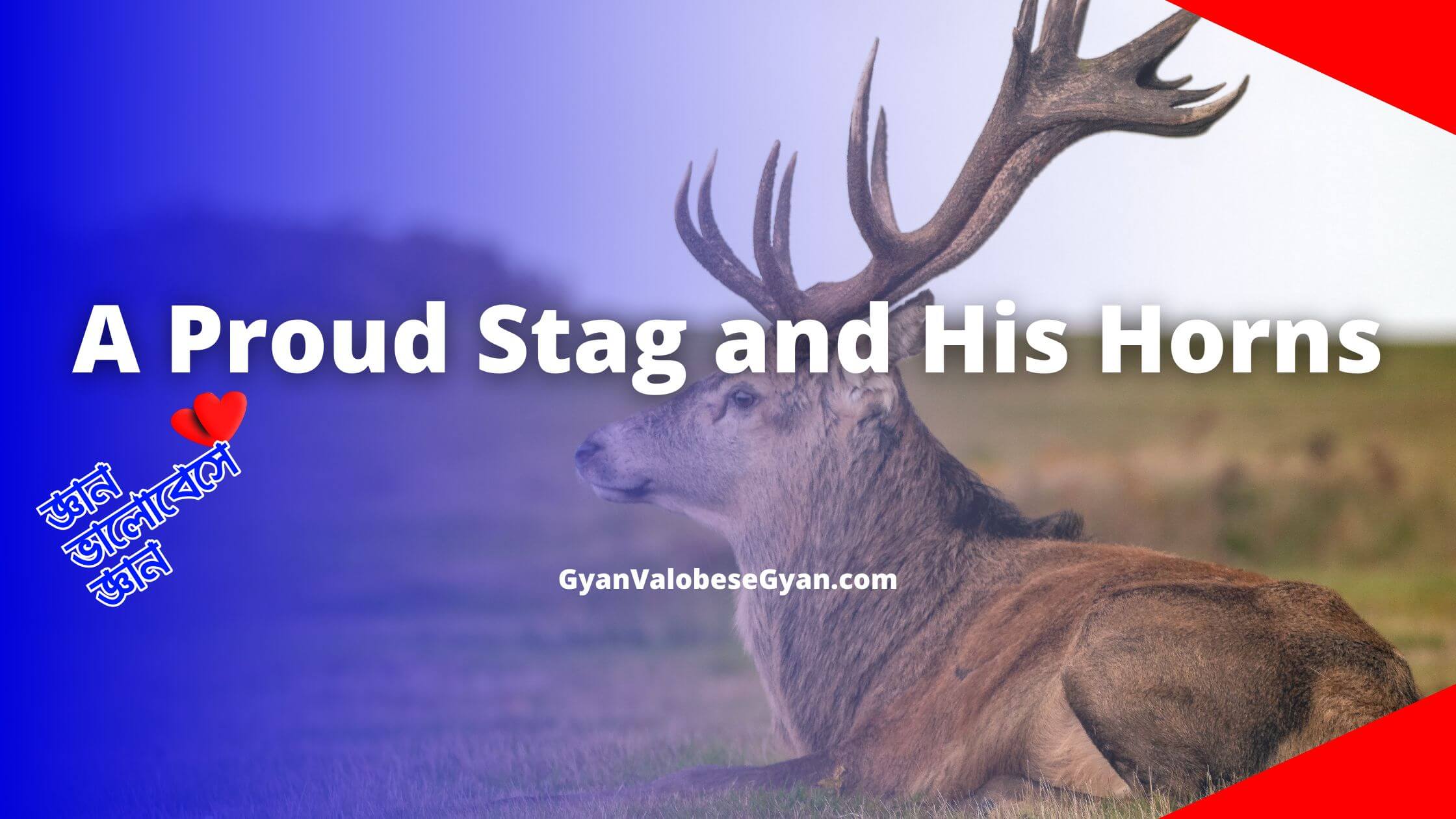 A Proud Stag and His Horns - Write a Story with the Help of the ...
