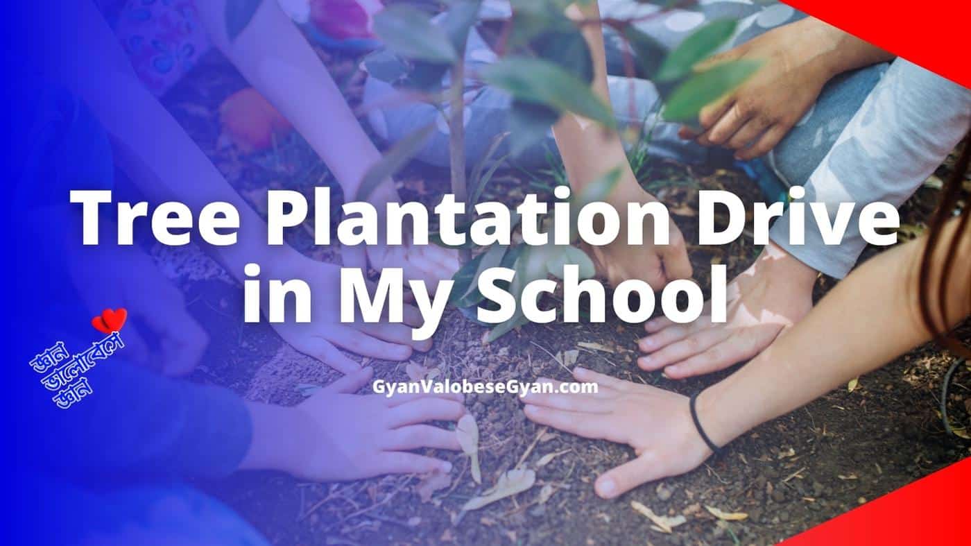 Tree Plantation Drive in My School - Write a paragraph on a recent Tree ...